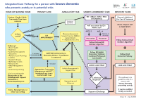Integrated Care Pathways for Dementia and Delirium Algorithms - HSE.ie