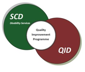 Introduction to the SCD/QID- Quality Improvement Programme - HSE.ie