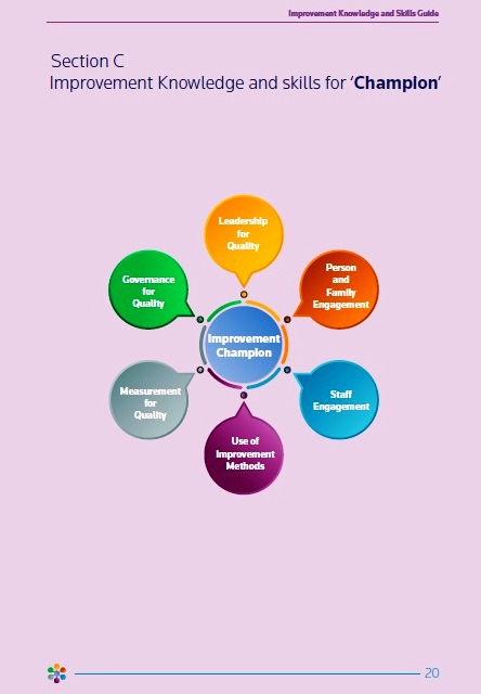 Improvement Knowledge and Skills Guide - HSE.ie