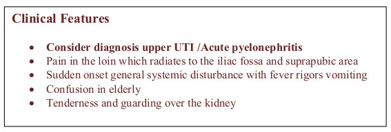 Acute Pyelonephritis - HSE.ie