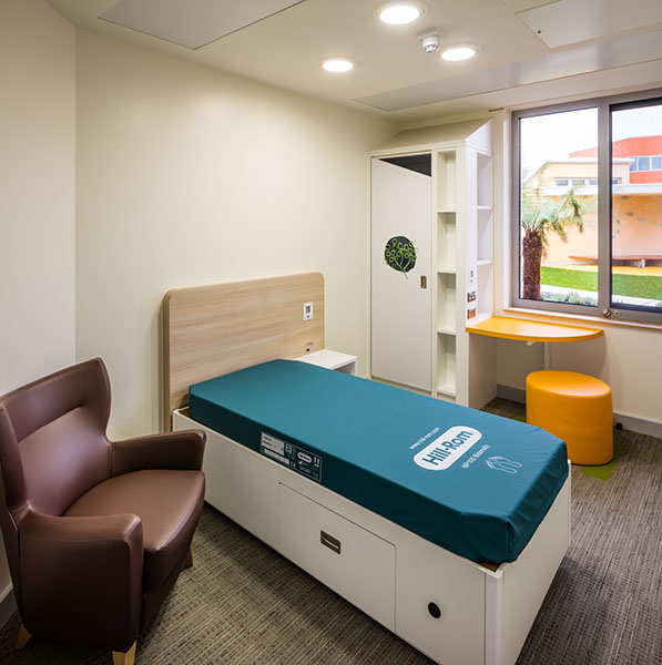 See the Unit - HSE.ie