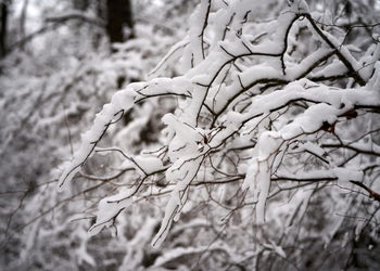 Dublin Midlands Hospital Group Homepage - HSE.ie